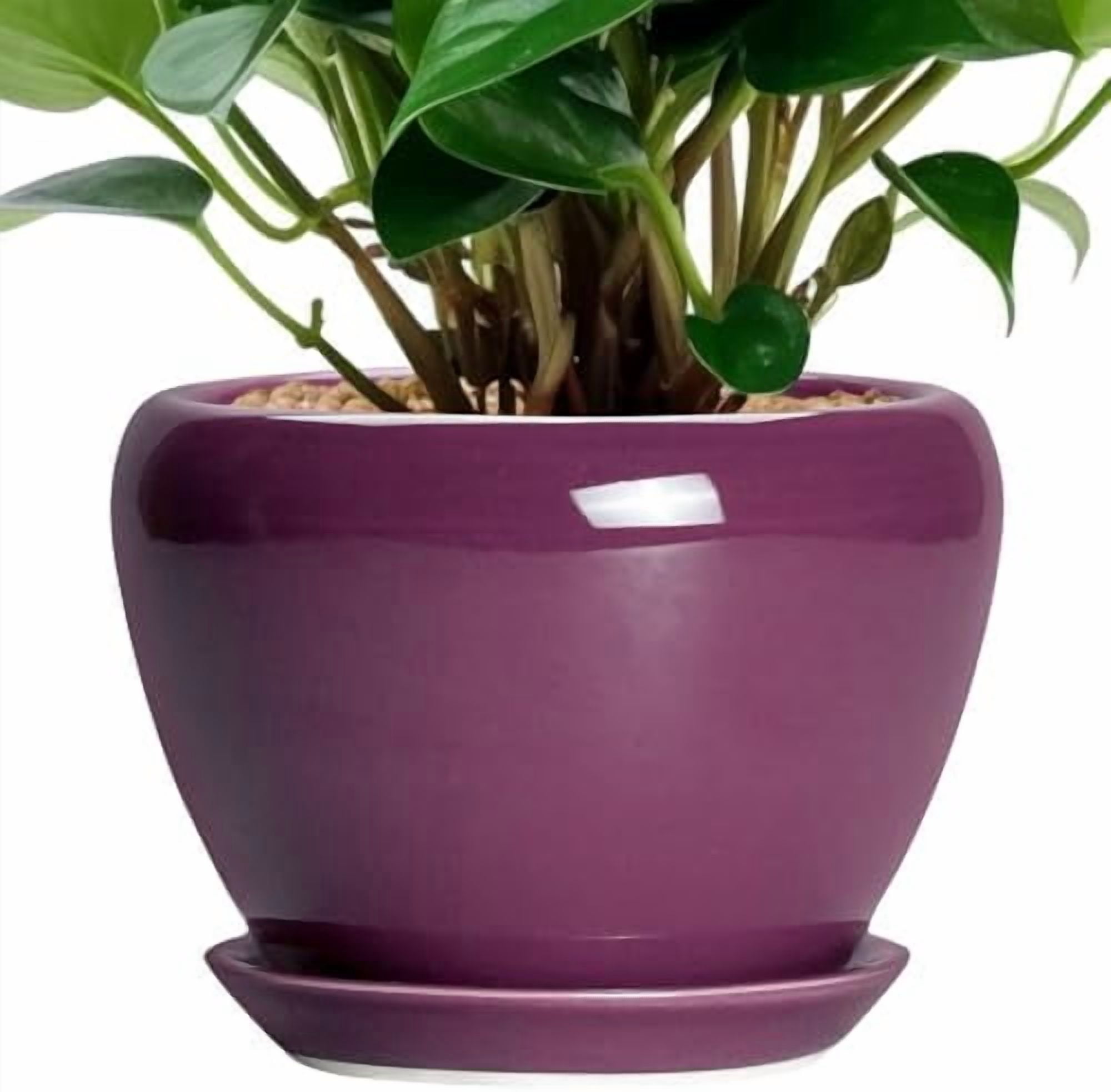 Ceramic Pots for Plants 6 Inch - Ceramic Plant Pots with Drainage Hole ...
