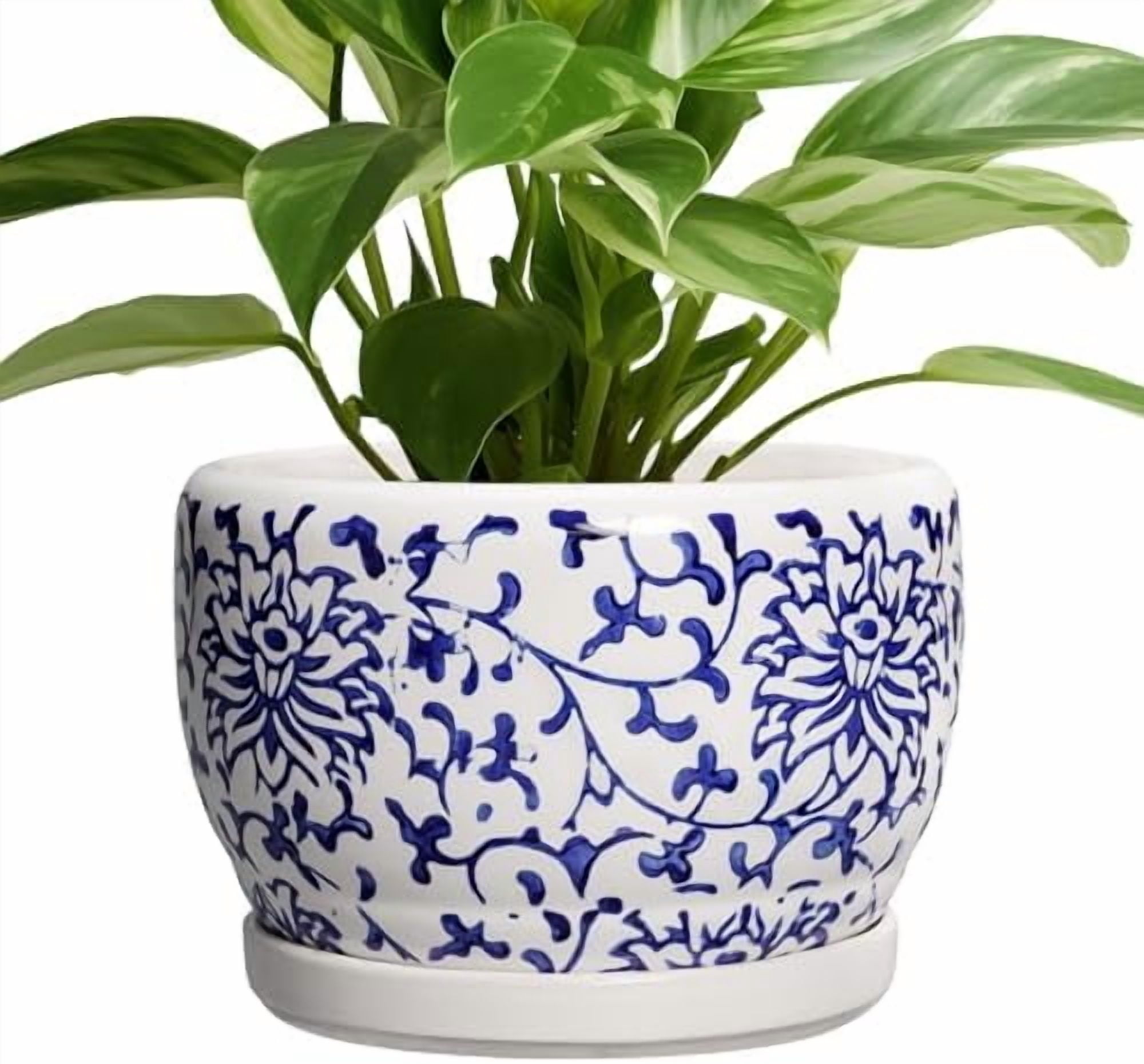 Ceramic Pots for Plants - 8 inch Ceramic Planter with Drainage Hole and ...