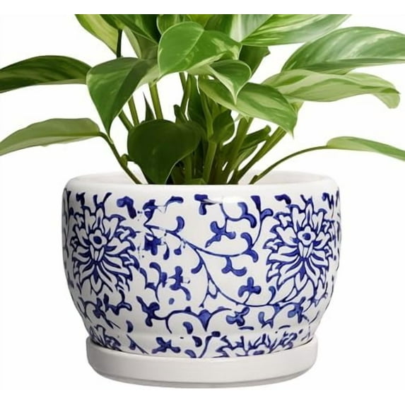 Ceramic Pots for Plants - 8 inch Ceramic Planter with Drainage Hole and ...