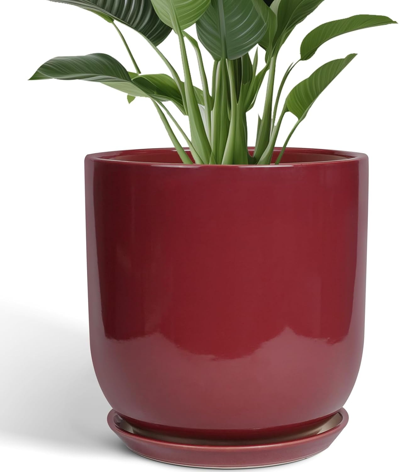 Ceramic Pots for Plants - 12 Inch Plant Pot Indoor with Drainage Hole ...