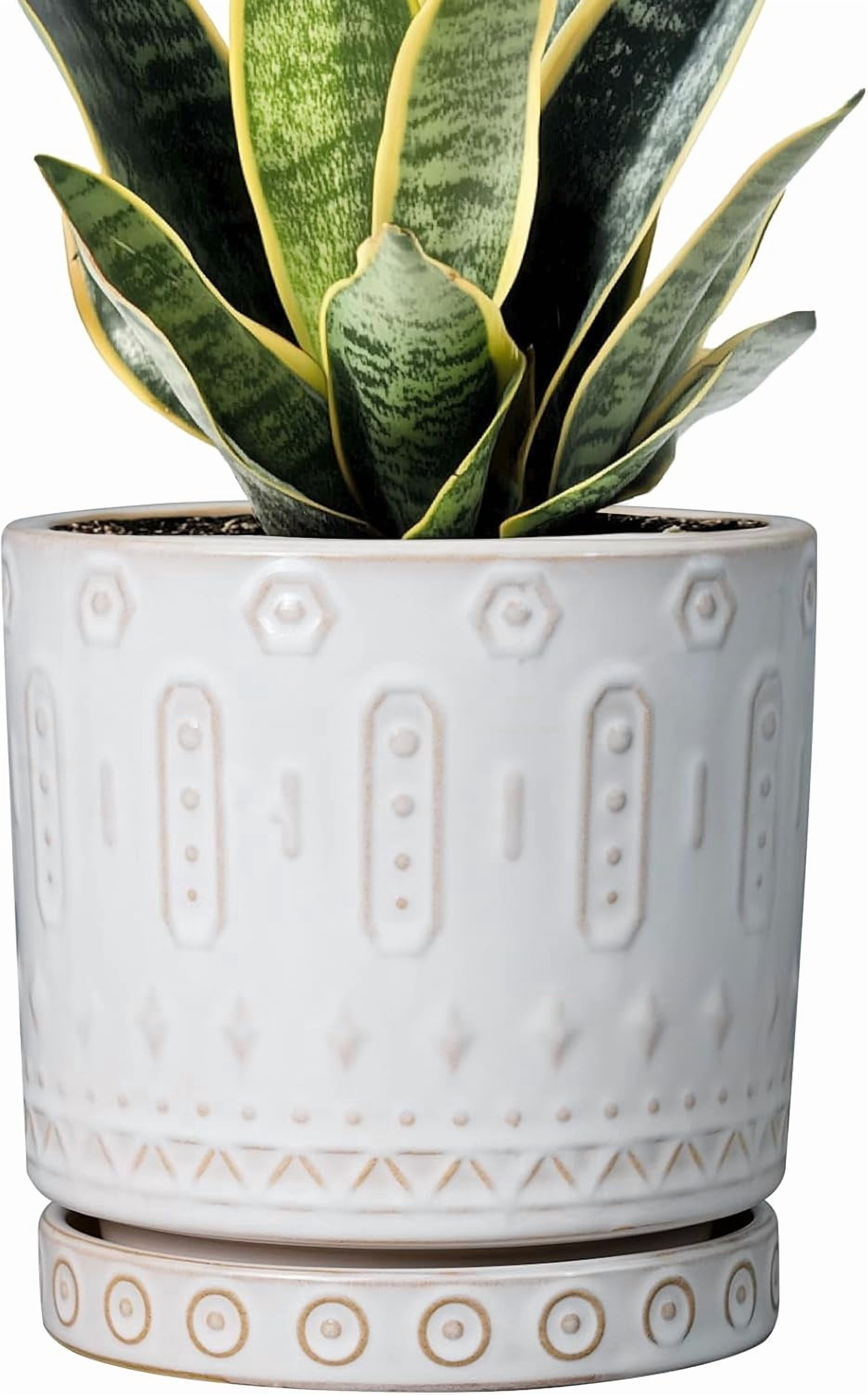 Ceramic Pots for Plants - Large Ceramic Planters for Indoor Plants ...