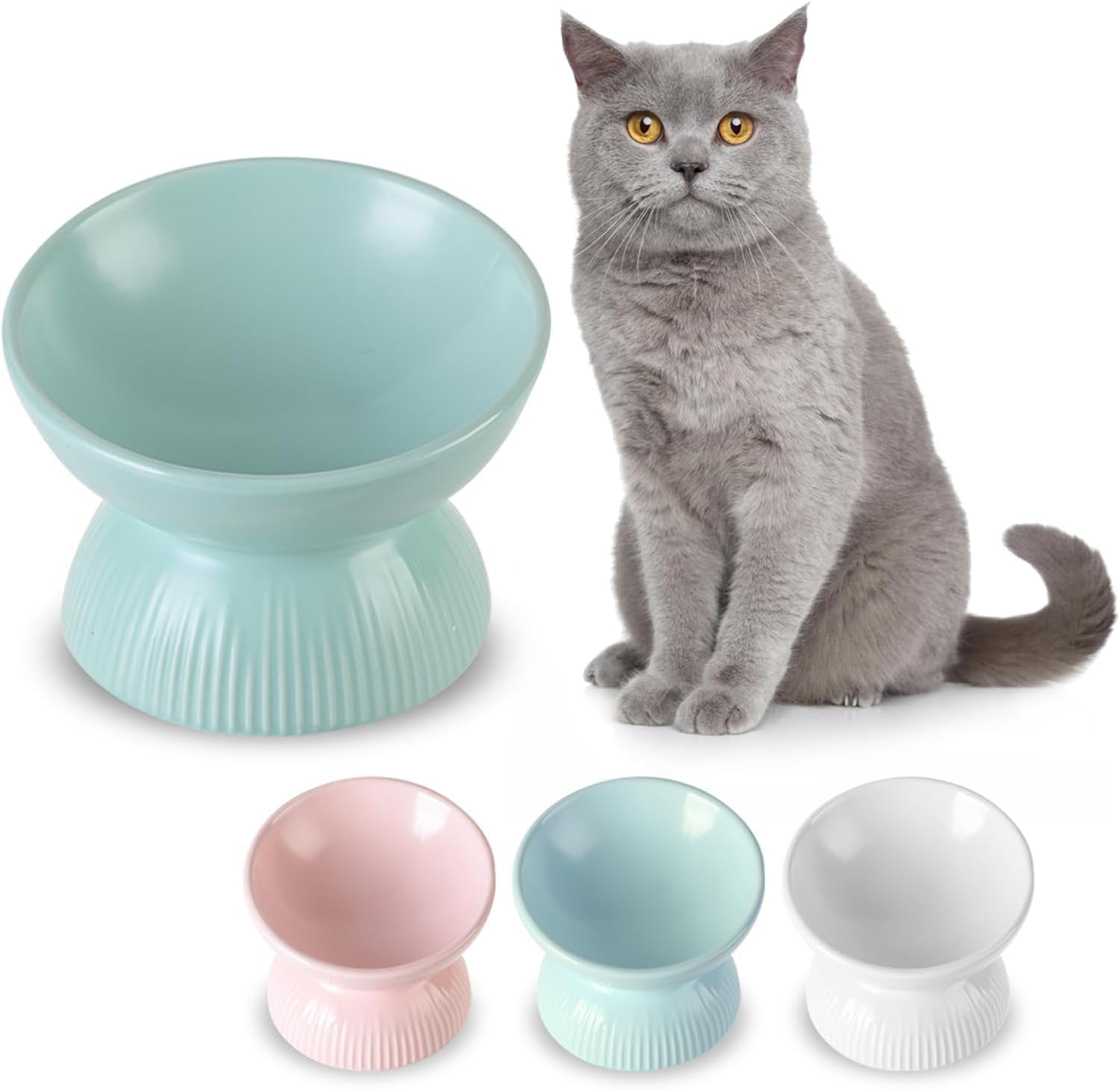 Ceramic Raised Cat Food Bowl - Tilted Elevated Cat Dish Anti Vomiting ...