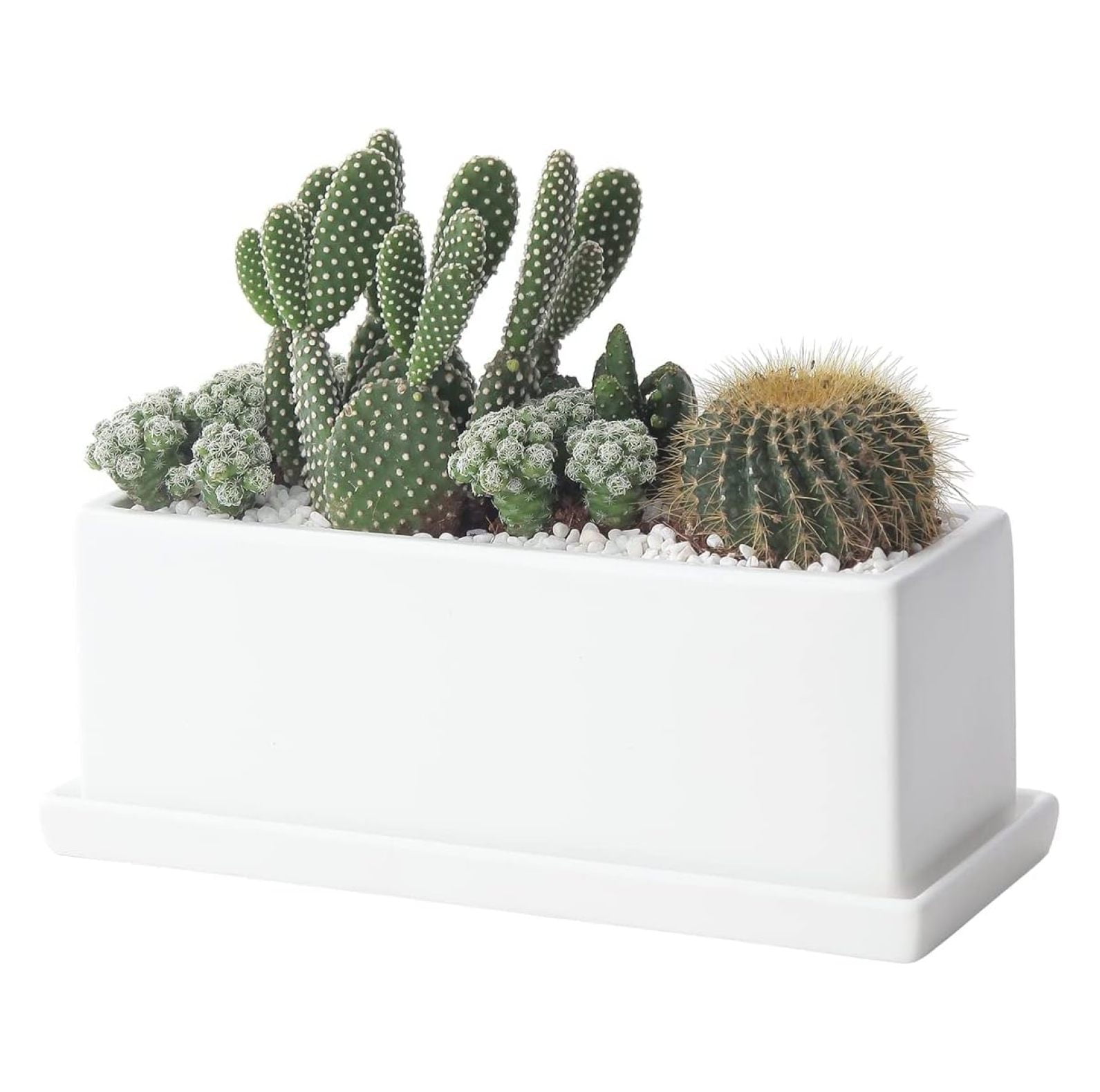 Ceramic Rectangle Planter Succulent Pot with Removable Saucer (8 Inch ...