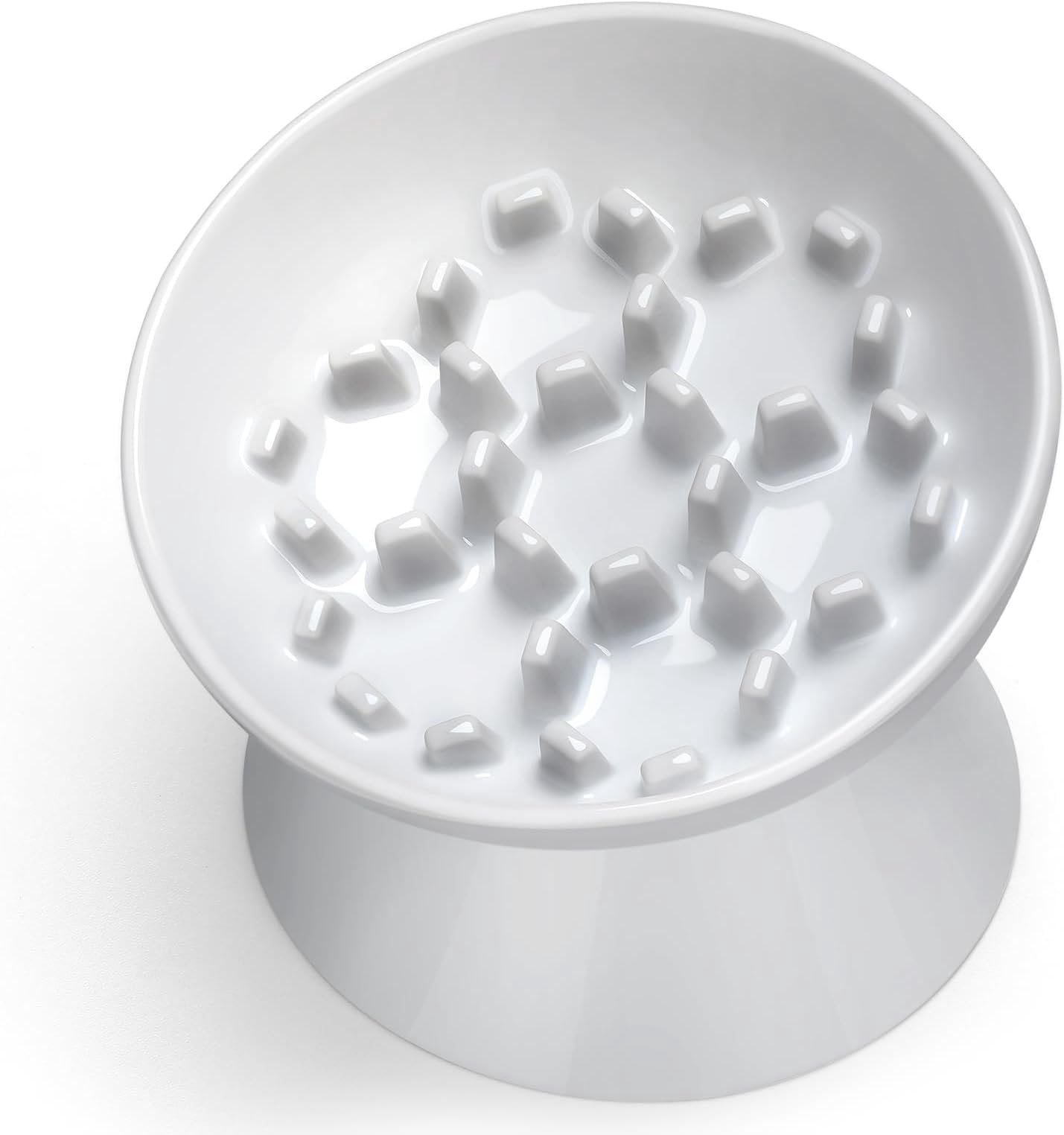 Ceramic Slow Feeder Bowl, Tilted Elevated Slow Feeder Bowl for Dry and ...