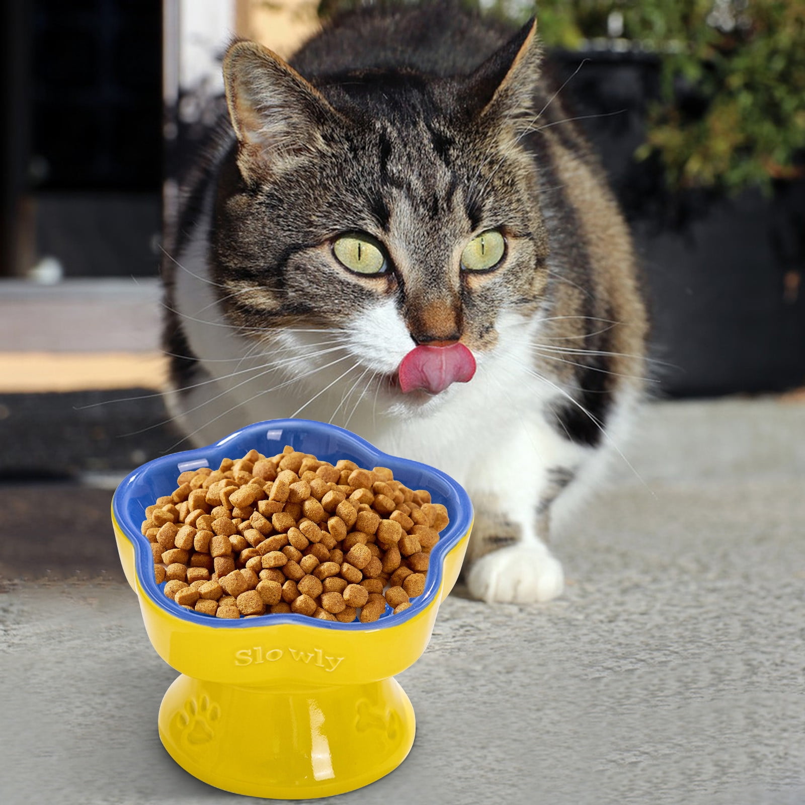 Ceramic Slow Feeder Bowl for Cats and Small Dogs, Elevated Pet Food ...