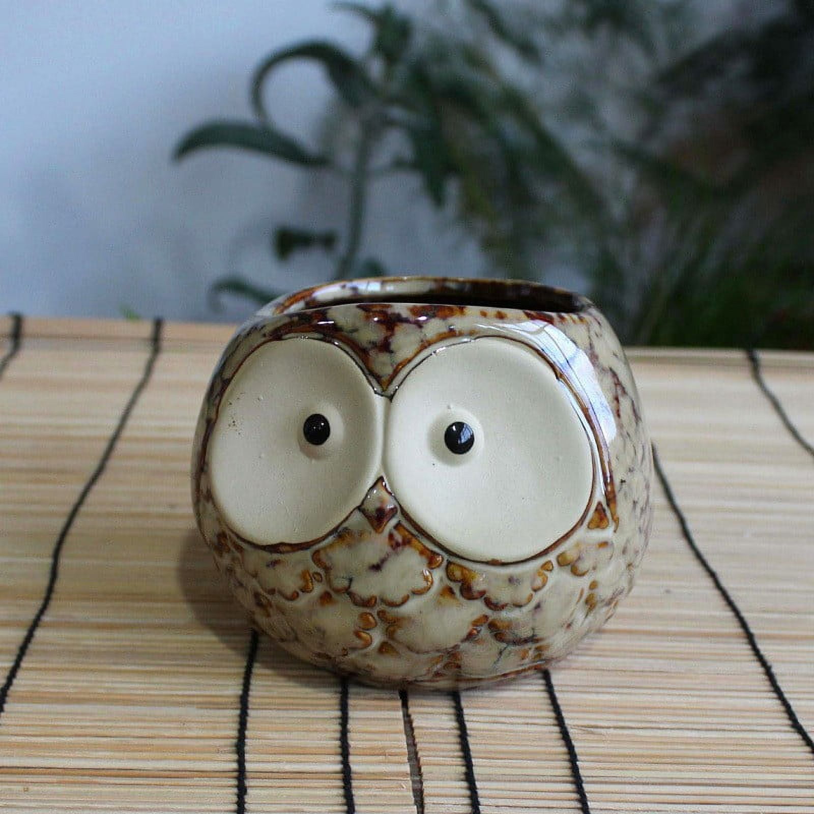Ceramic Succulent Planter - Owl Shaped Thumb Pot with Colorful Glaze ...