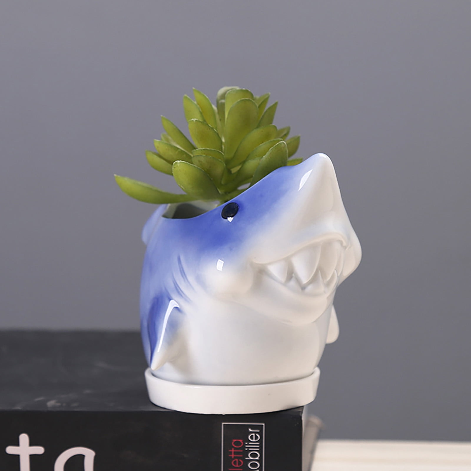 Ceramic Succulent Planter Pot with Drainage,Cute Shark Cartoon Animal ...