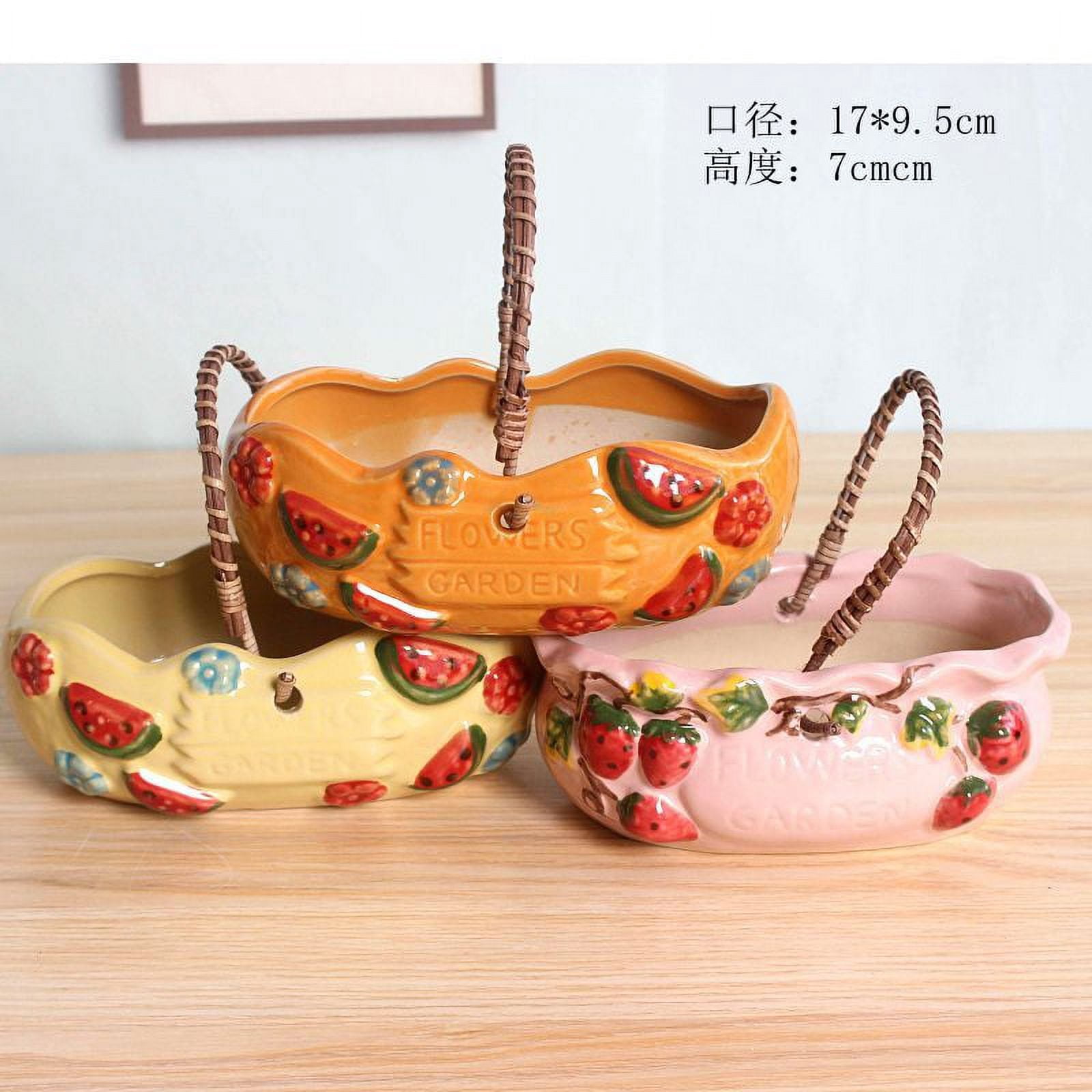 Ceramic Succulent Planter with Carry Handle - Multi-Purpose Succulent ...