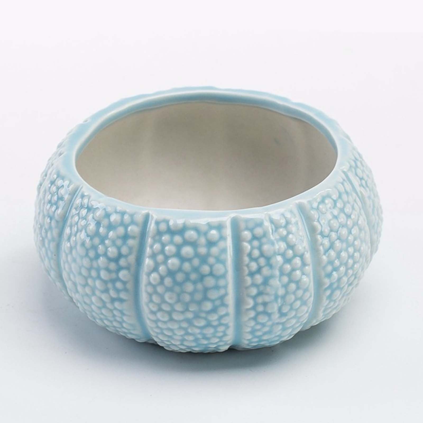 Ceramic Succulent Planter with Marine Animal Design, Adorable Small ...