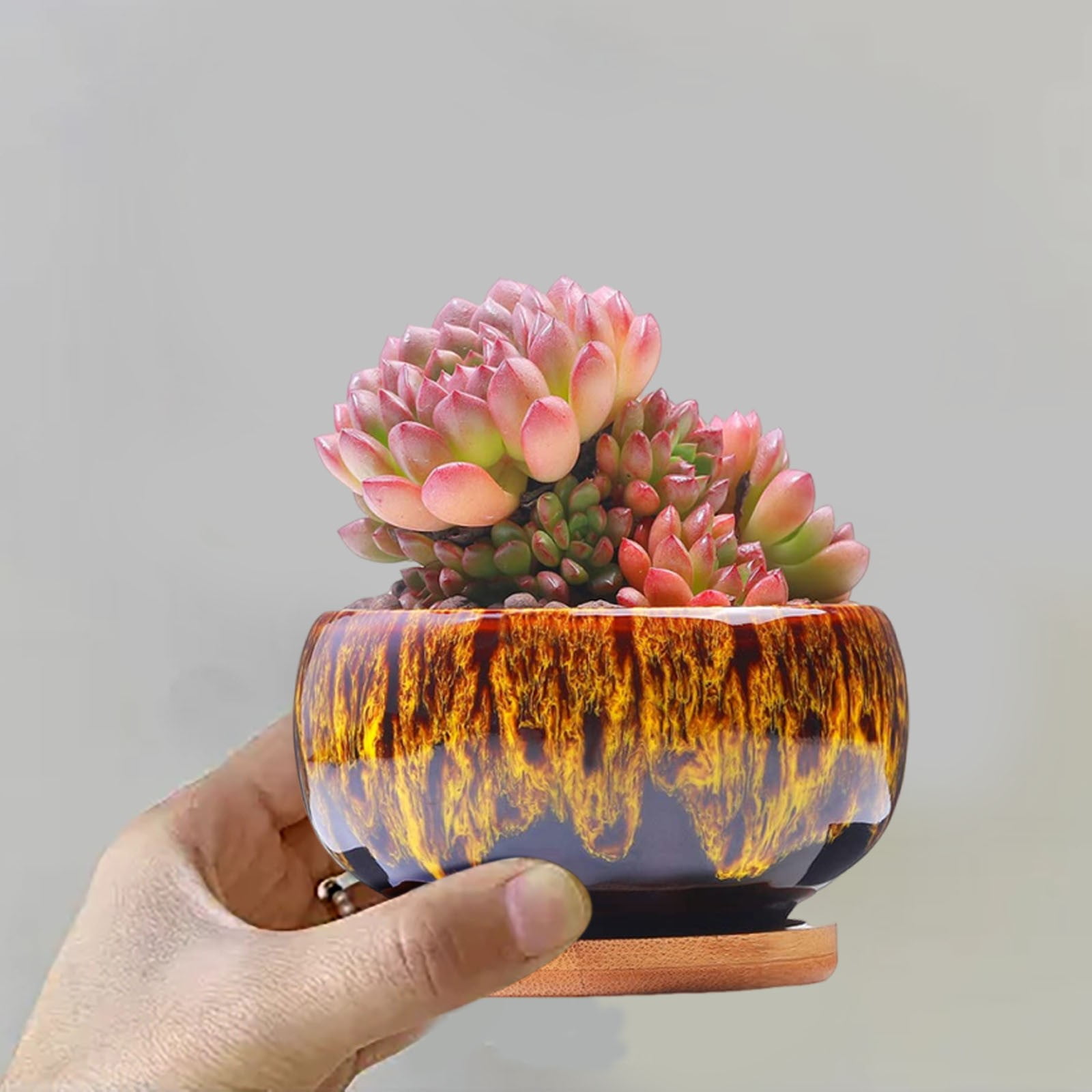 Ceramic Succulent Pots with Drainage Hole & Attached Saucer, Glazed ...