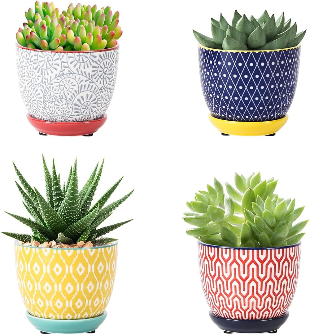 Ceramic Succulent Pots with Drainage Holes, Small Flower Pots 3.5 Inch ...