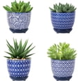 Ceramic Succulent Pots with Drainage Holes, Sm Flower 3.5 Inch Plant ...
