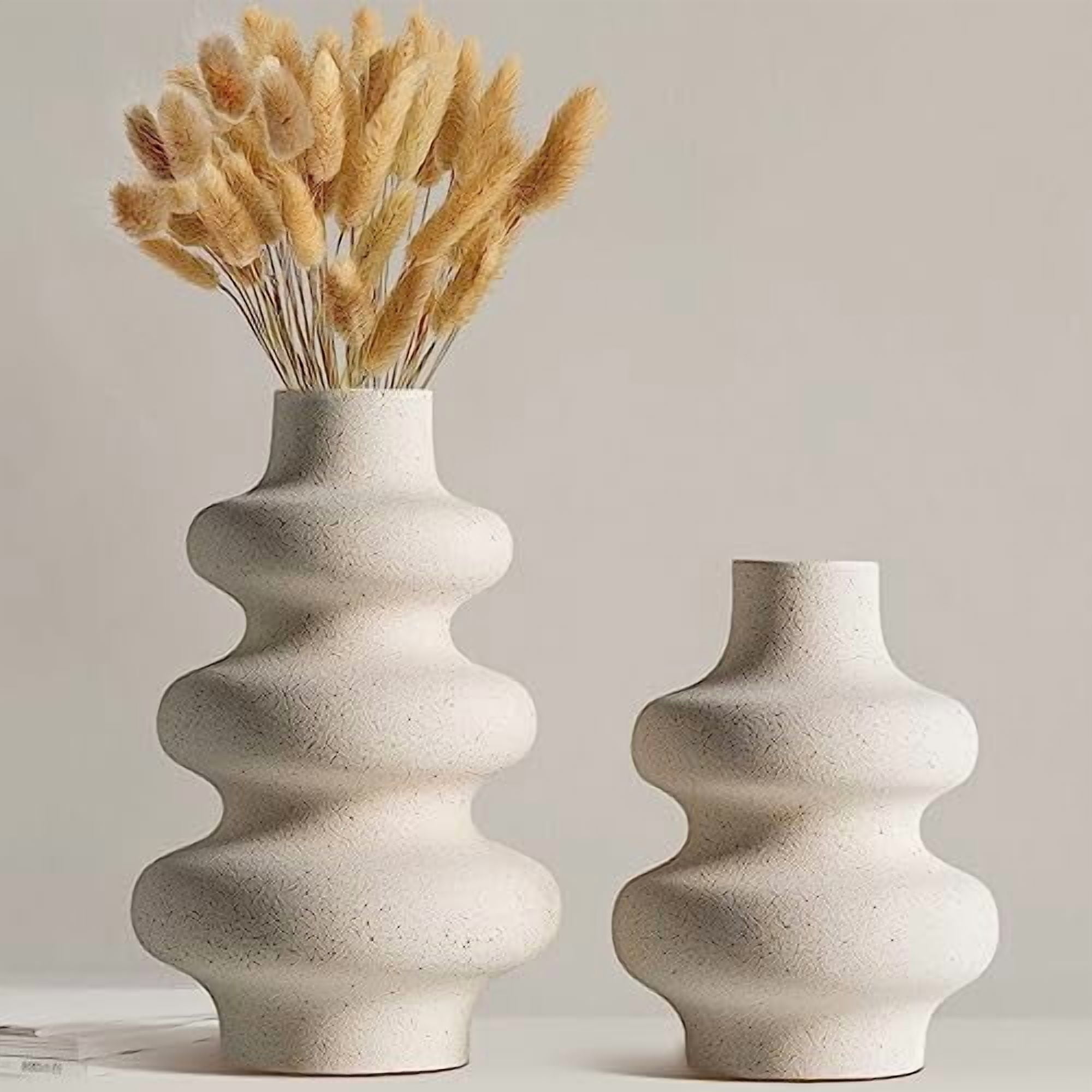 Ceramic Vases Set of 2-White Vase for Modern Home Decor, Flower Vases ...