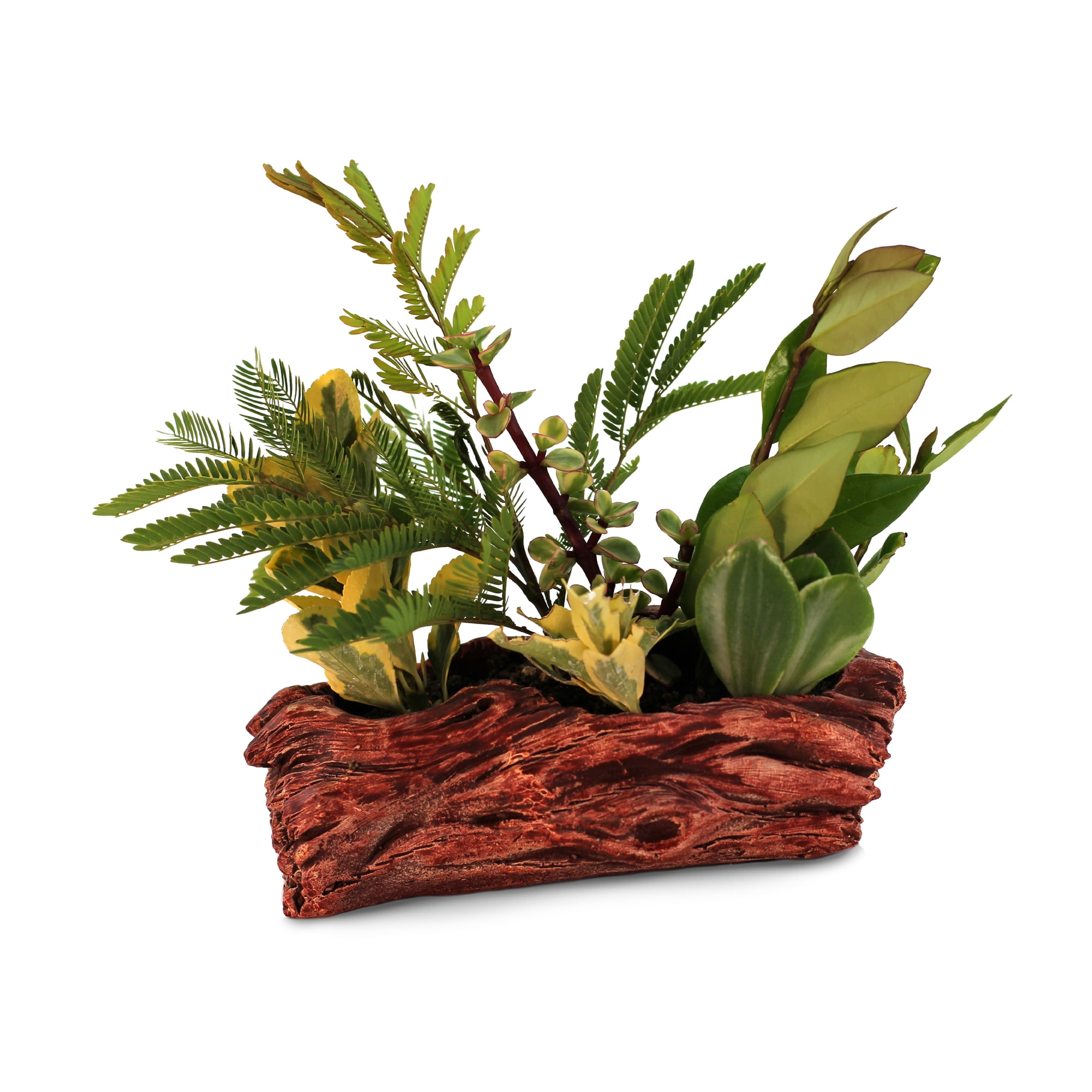 Ceramic Wood Plant Pot | Indoor Planter for Succulents & Flowers ...