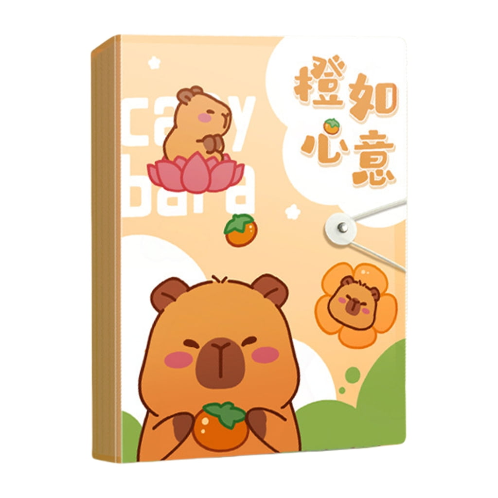 Certificate Folder File Organizer Documents Organiser Certificate ...