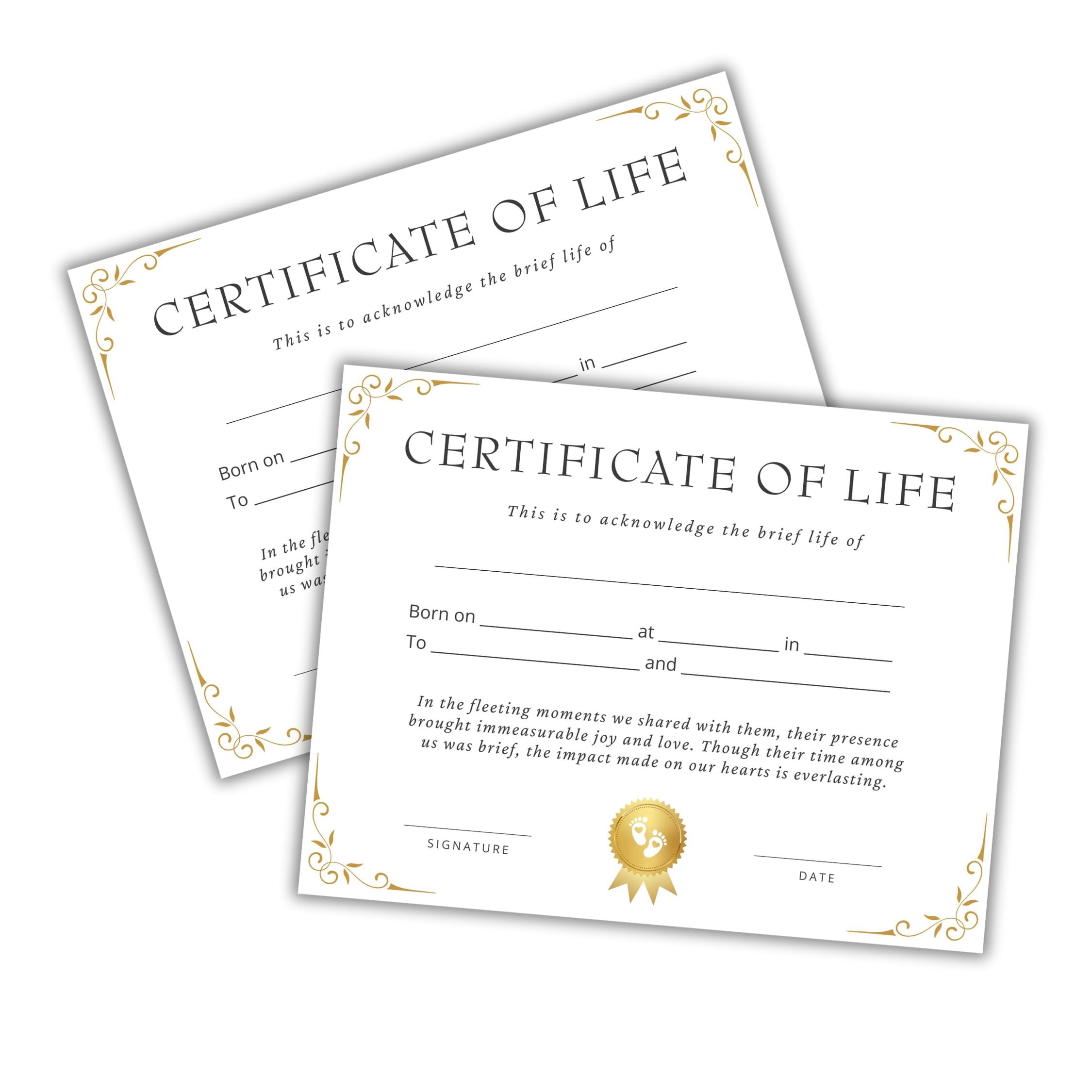 Certificate of Life Miscarriage Keepsake 30pk 8.5x11 Stillbirth ...