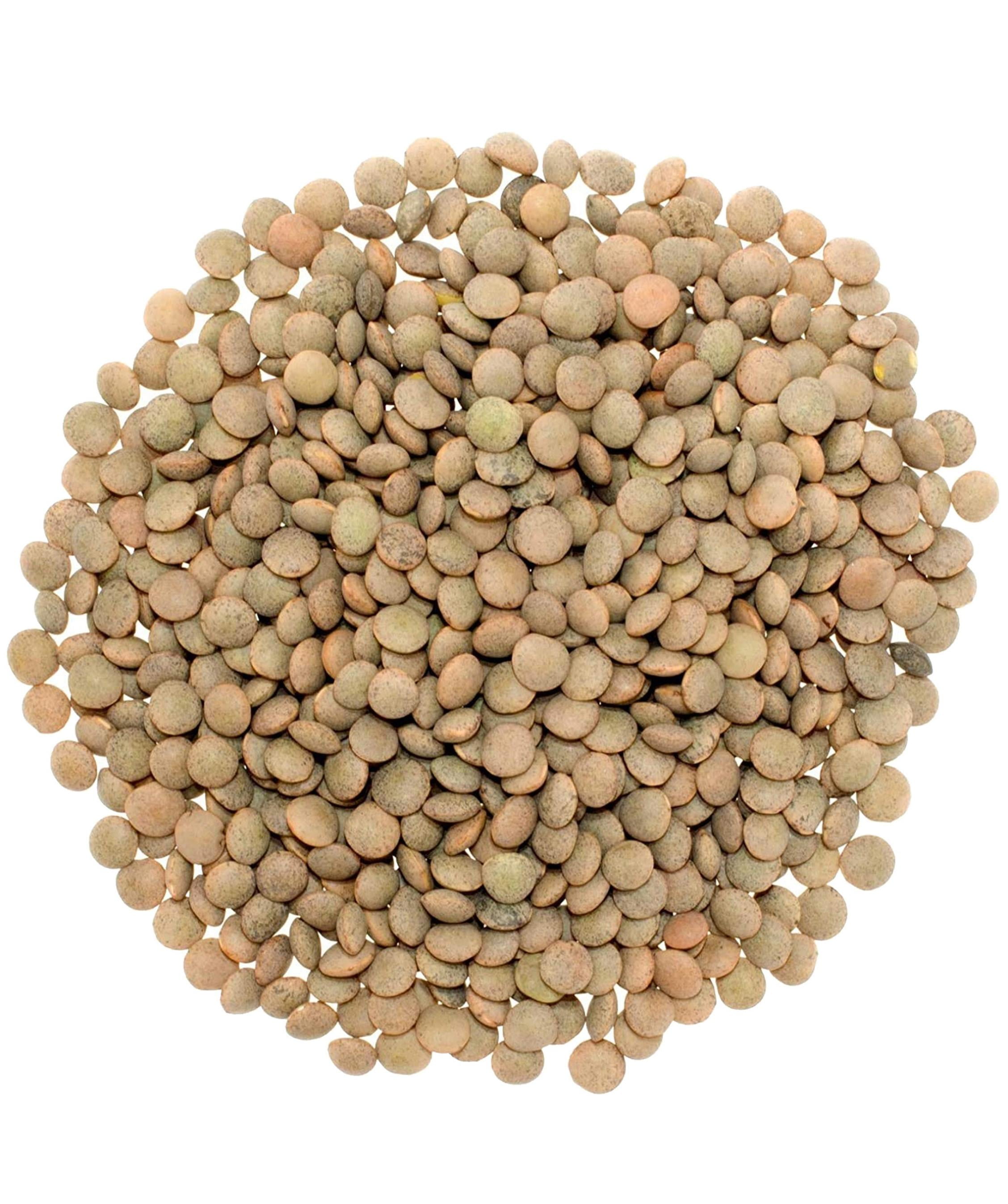 Certified Glyphosate Residue Free Brown Lentils | 5 LBS | Desiccant ...