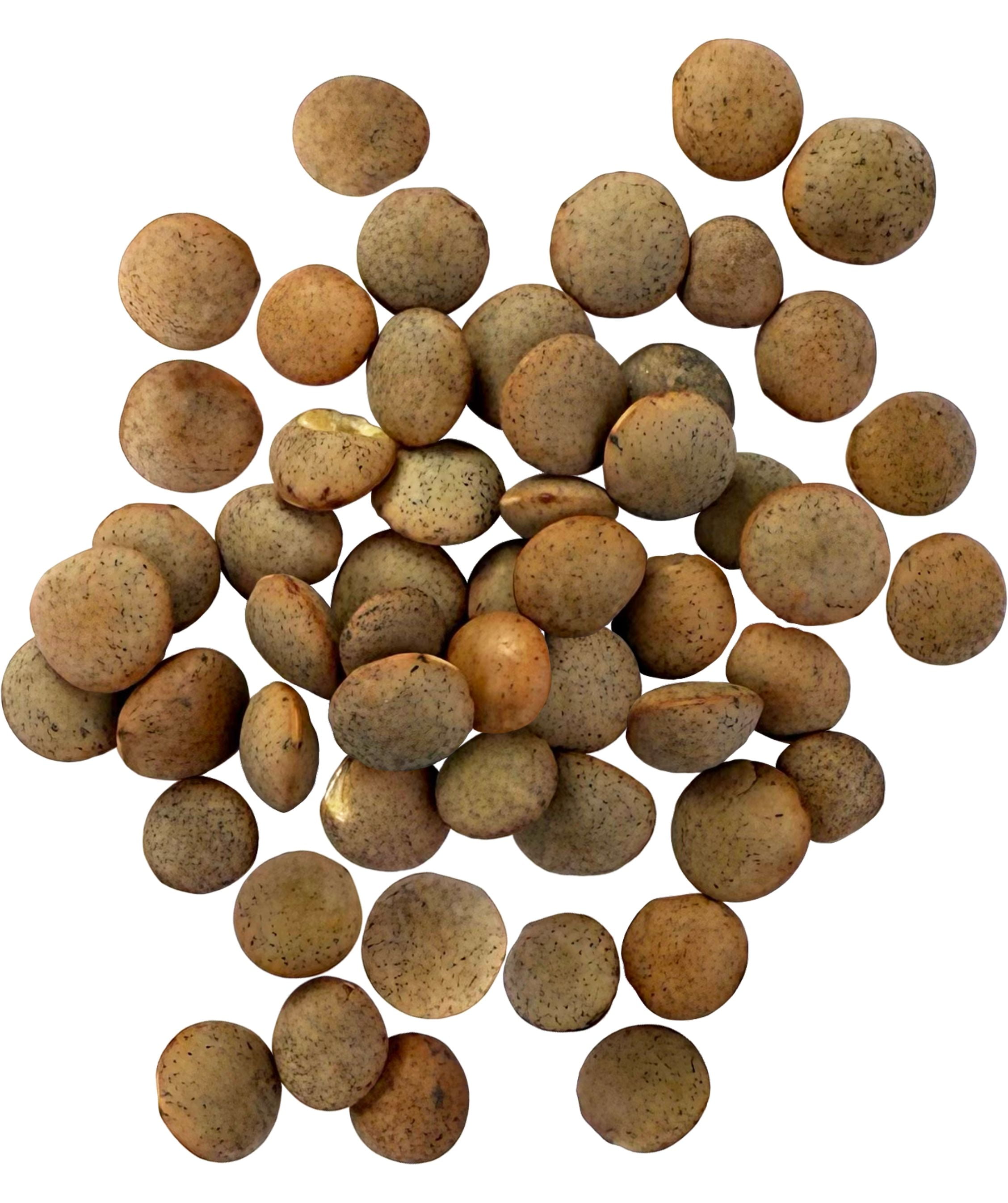 Palouse Brand Small Brown Lentils, 18 LBS, Certified Glyphosate Residue ...