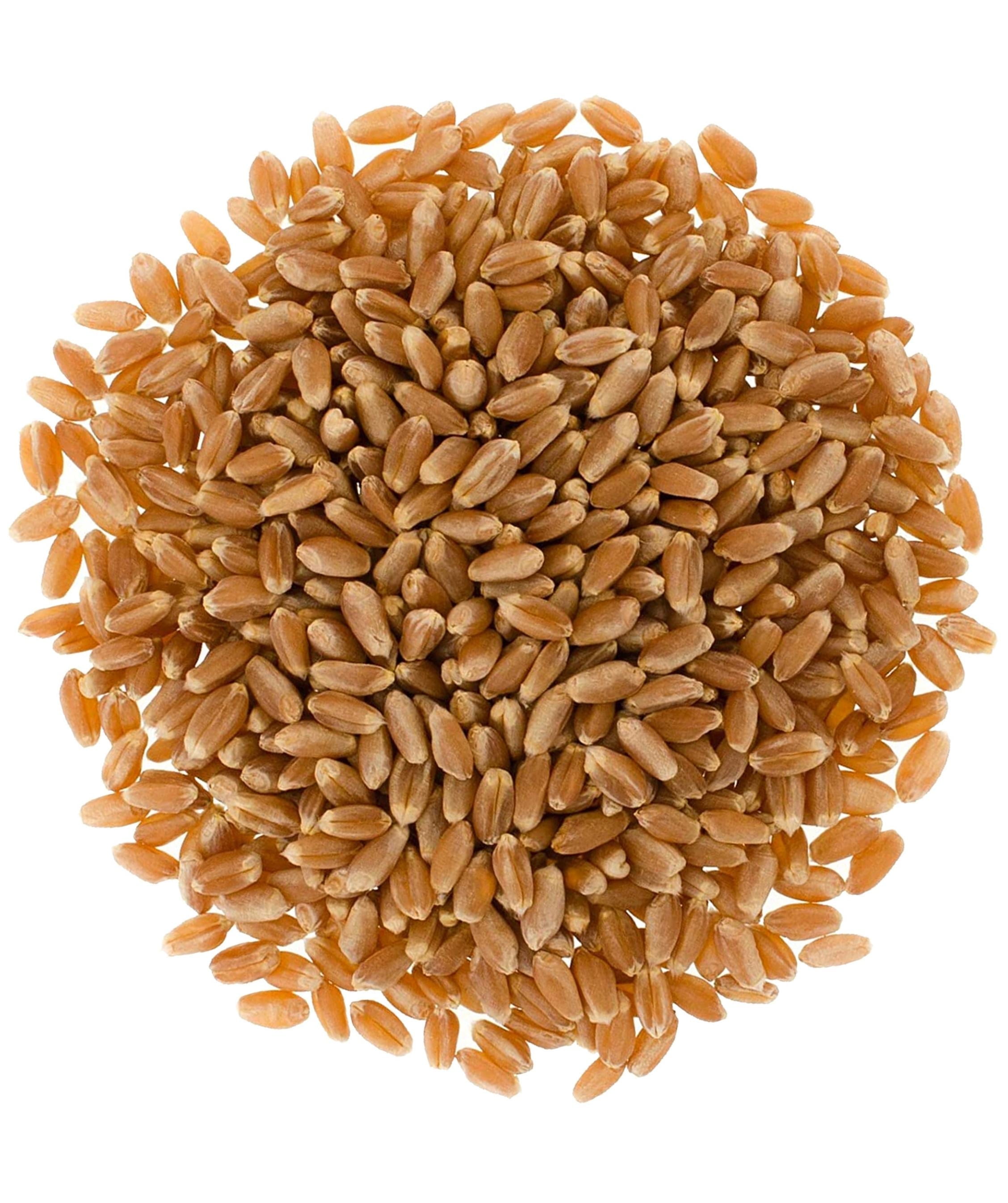 Certified Glyphosate Residue Free Hard Red Spring Wheat Berries | 18 ...