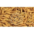 Certified Rex Rice Seed - 10 Lbs. - Walmart.com