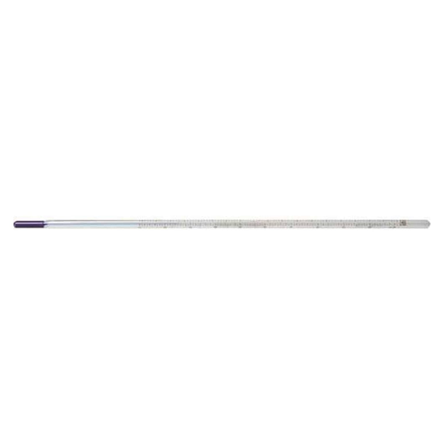 Certified Thermometer 30cm 12" - Walmart.com