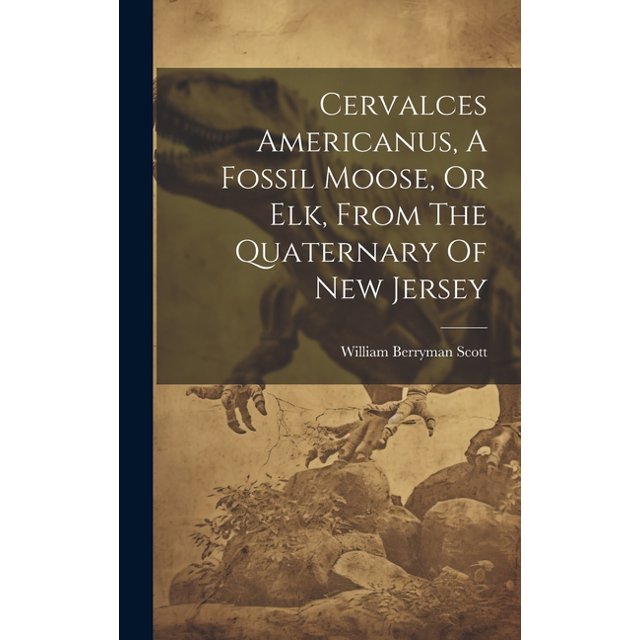 Cervalces Americanus, A Fossil Moose, Or Elk, From The Quaternary Of ...