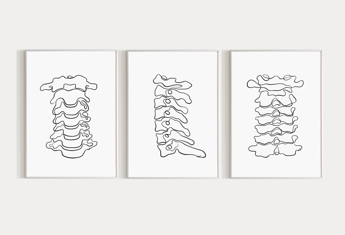 Cervical Spine Art Vertebrae Minimalist One Line Illustration Set 3 ...