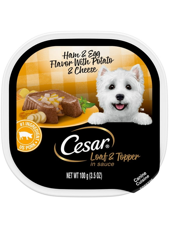 Cesar Dog Food in Dogs - Walmart.com