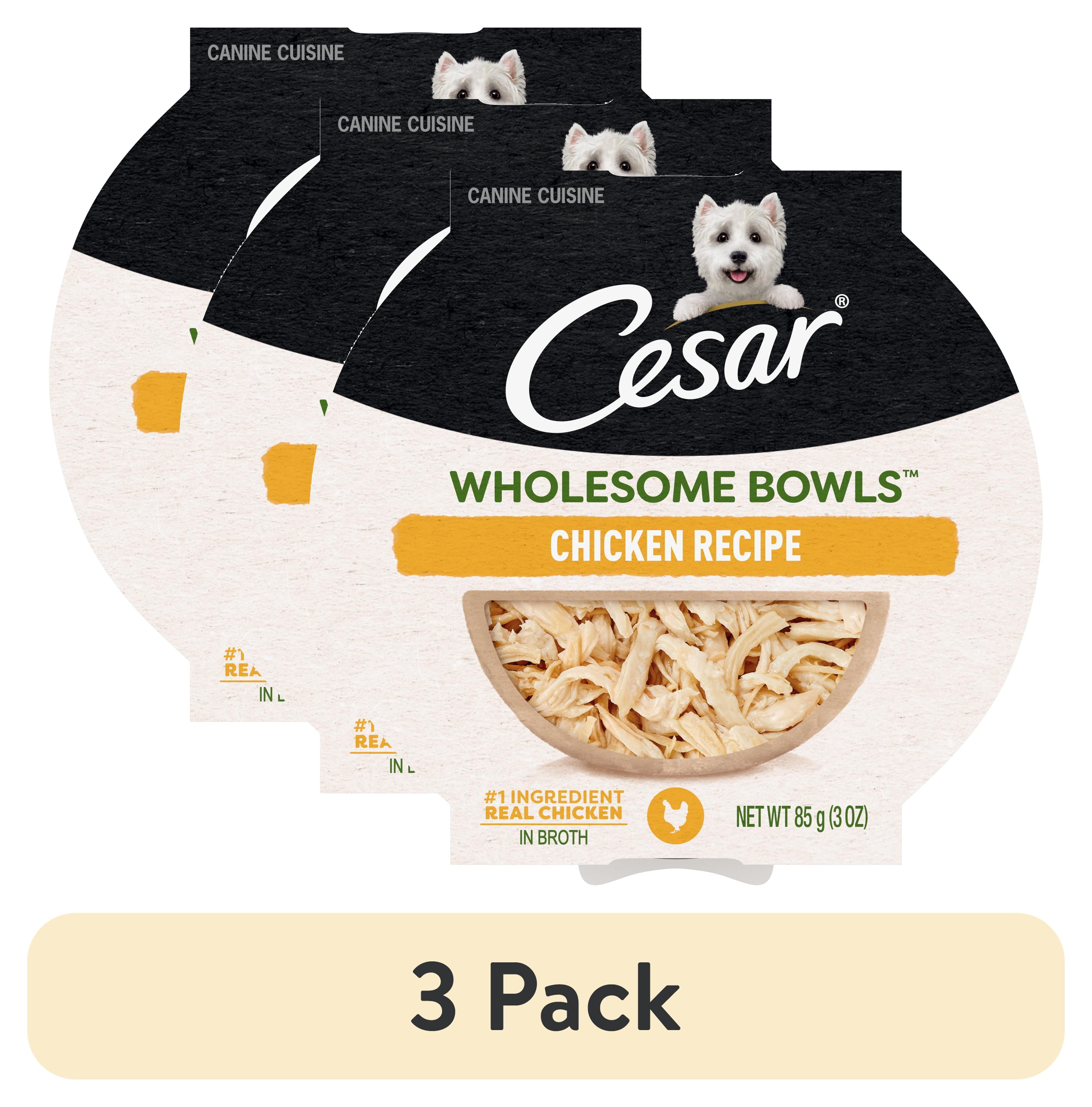 (1 pack) Cesar Wholesome Bowls Chicken Recipe Broth Wet Dog Food, 3 Oz ...