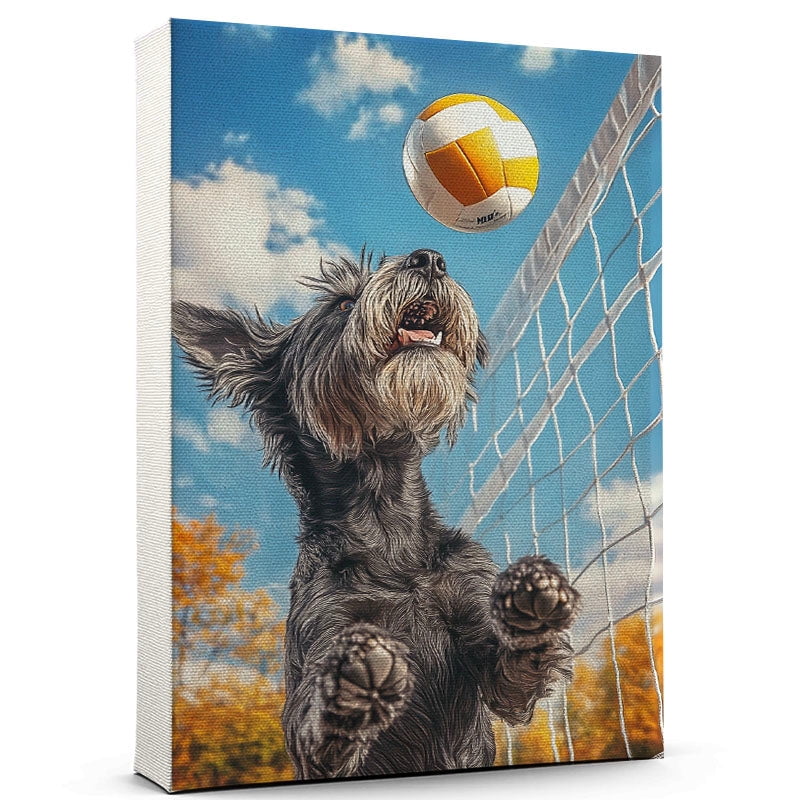 Cesky Terrier Dog Playing Volleyball Stretched Canvas Size 8x12 ...