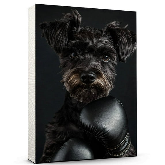 Cesky Terrier Dog Stretched Canvas Size 8x12 Boxing Canvas – Funny ...