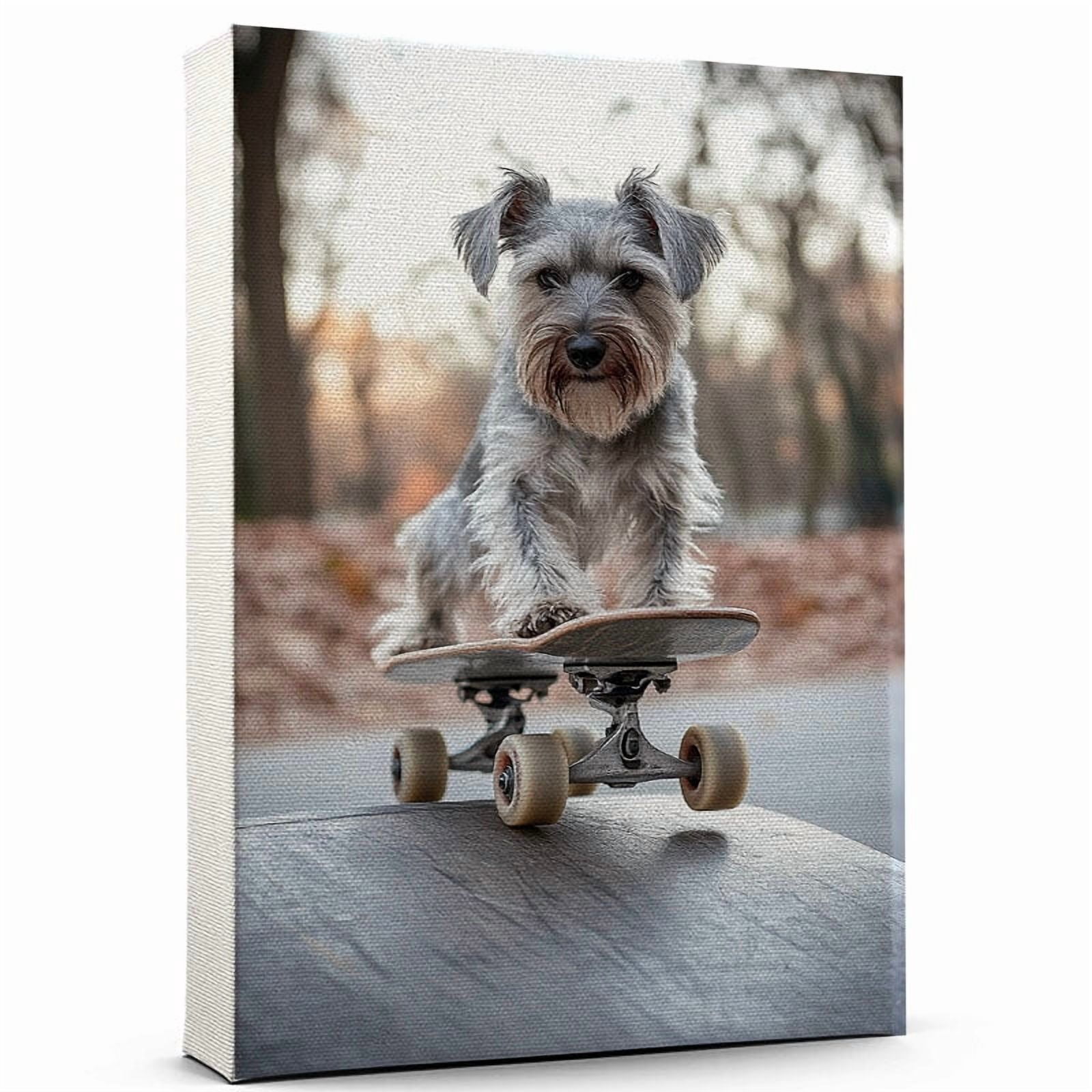 Cesky Terrier Dog Stretched Canvas Size 8x12 Skateboarding Canvas ...