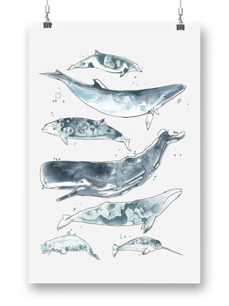 Cetacea Ii. Poster - June Erica Vess Designs, - Walmart.com