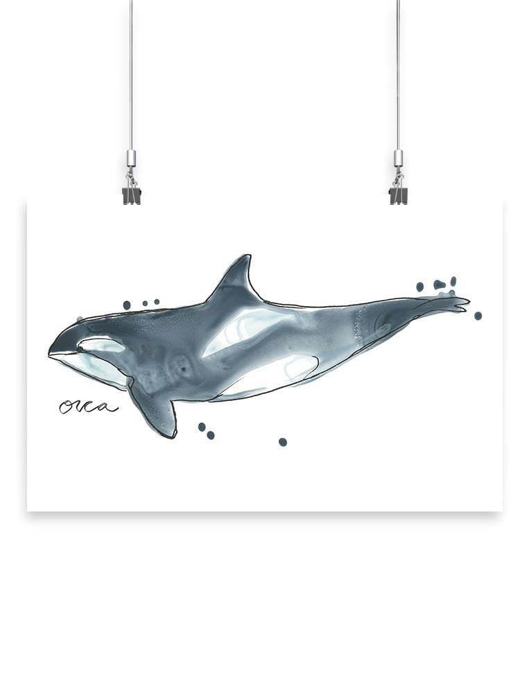 Cetacea Orca Whale. Poster - June Erica Vess Designs, - Walmart.com