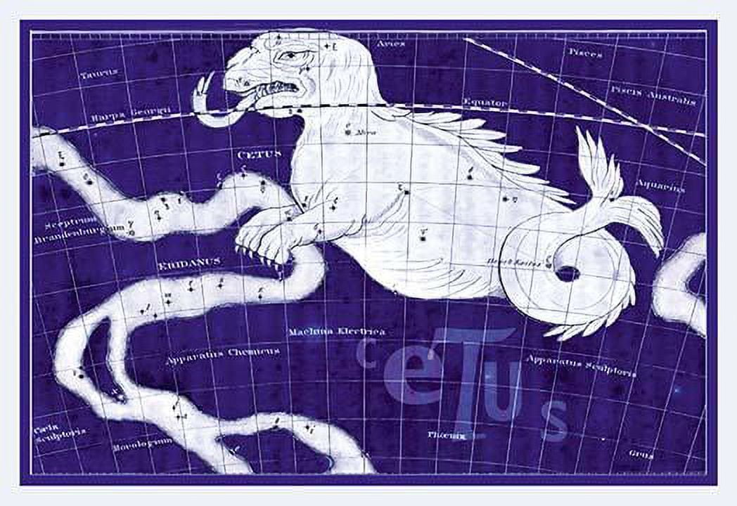 Cetus and Eridanus #3- Fine Art Canvas Print (20" x 30") - Walmart.com