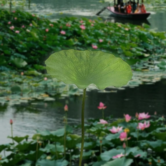 Cevemin 1PC Simulation Lotus and Water Lily Artificial Flowers ...