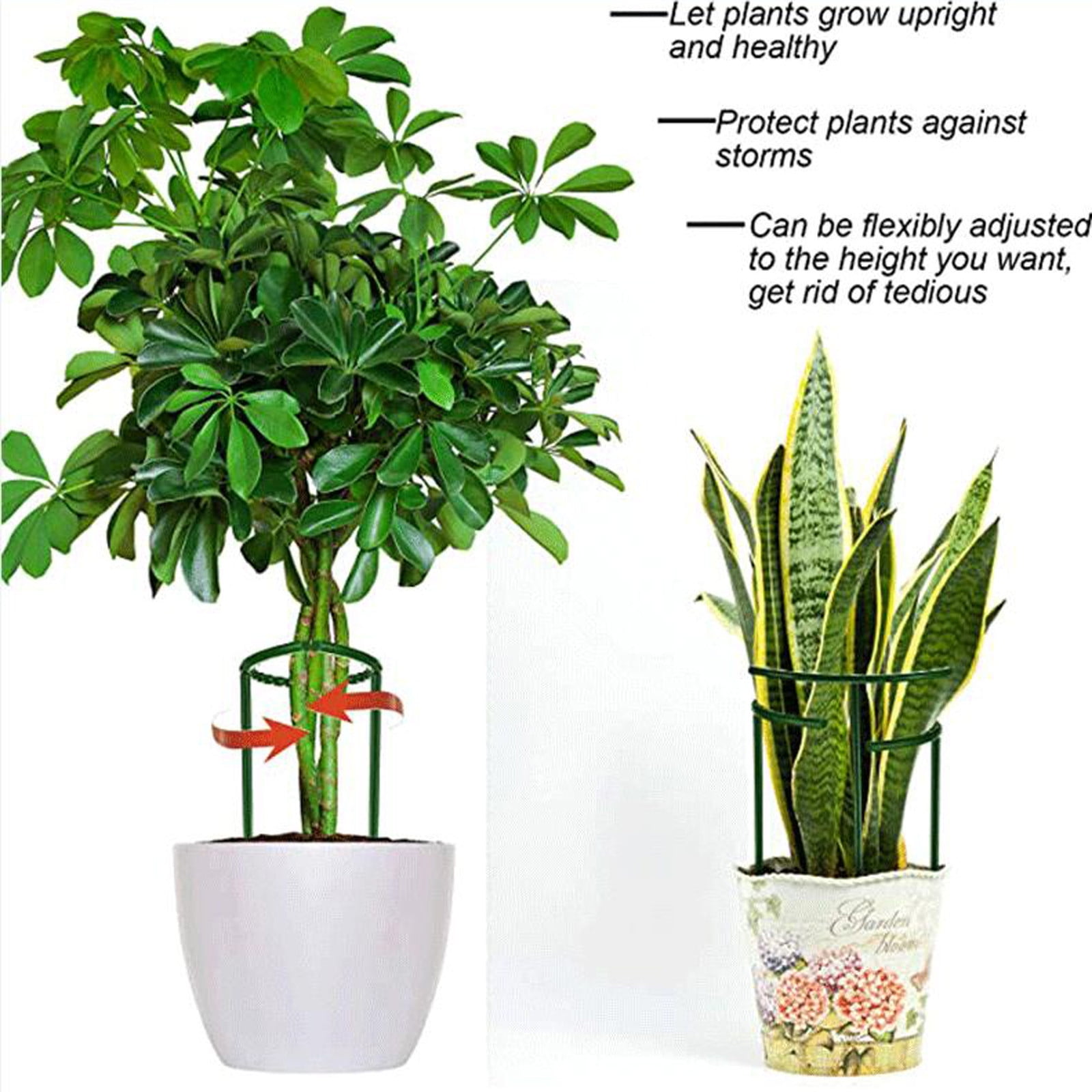 Cevemin 6Pcs Semi-circular Plant Support, Plant Cage Support, Crab Claw ...