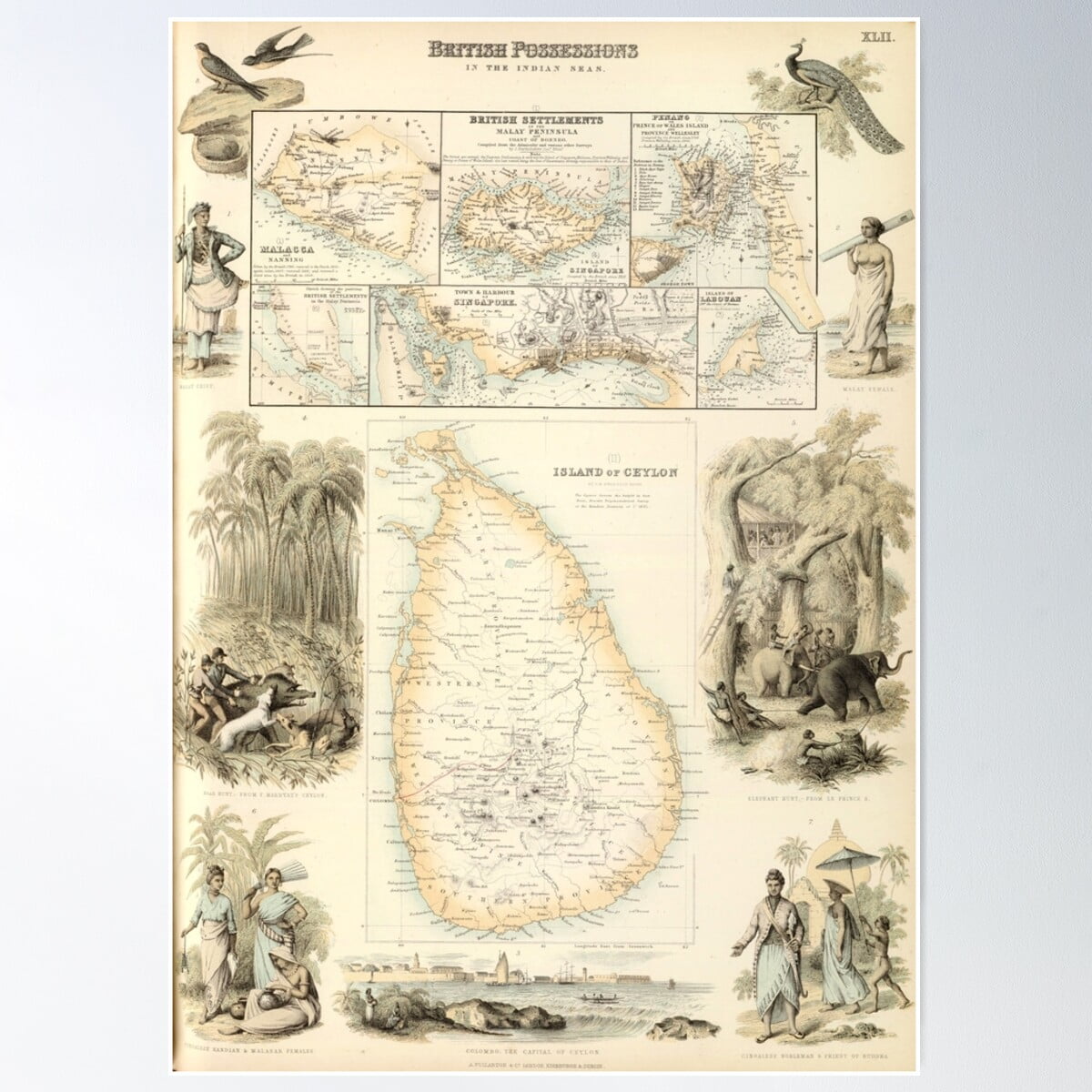 Ceylon Island Map, Sri Lanka Map, 1872 By John Jr. Bartholomew Poster ...