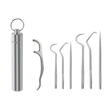 "VIVIDCRAFT Stainless Steel Toothpicks, Reusable Floss Dental Picks for ...