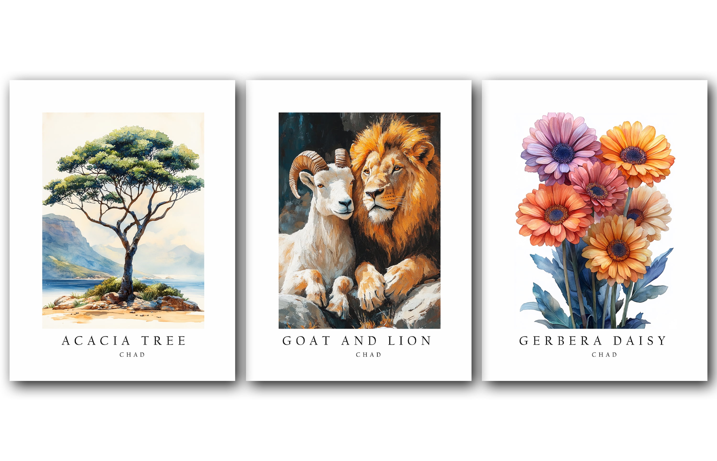 Chad National Symbols, The Goat and Lion, Gerbera Daisy Flower, Acacia ...