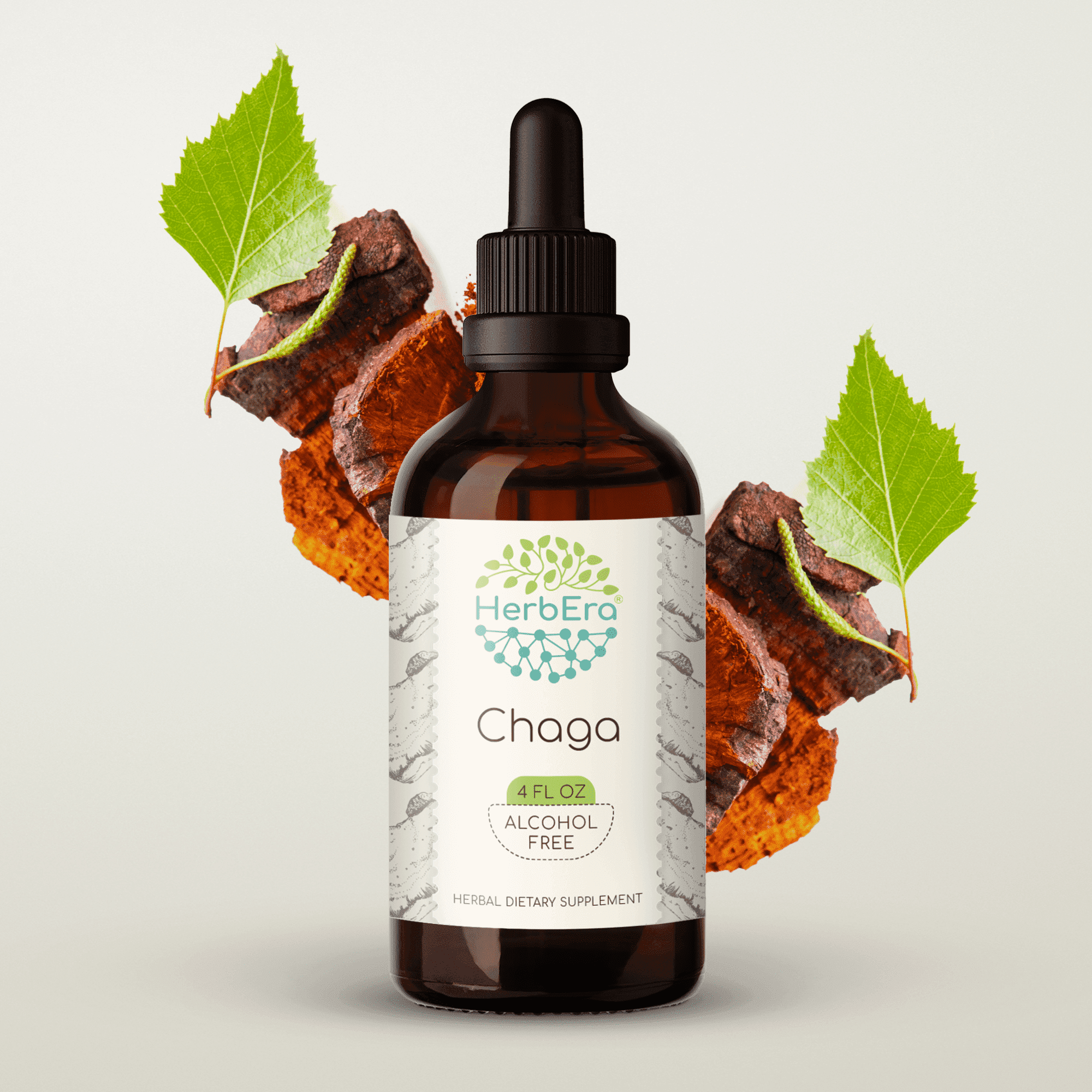HerbEra Chaga Tincture, Herbal Dietary Supplement for Immune Support ...