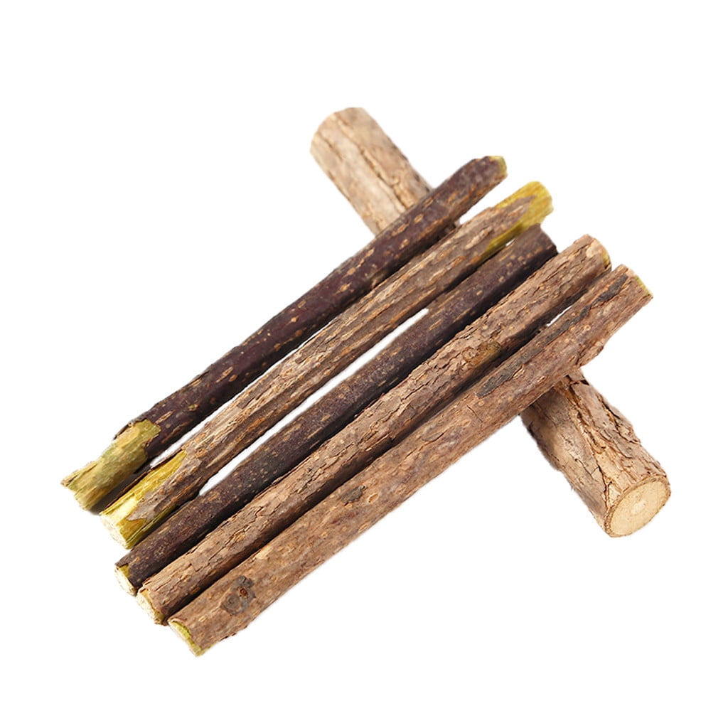 Chailin Cat Snacks Matatabi Chew Stick Teeth Molar Cleaning Brush Toy ...