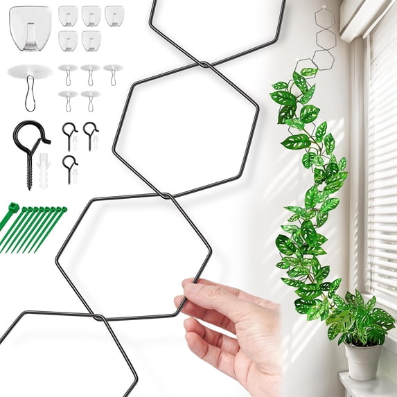 Chain Trellis for Climbing Plants - Indoor & Outdoor House Plant ...