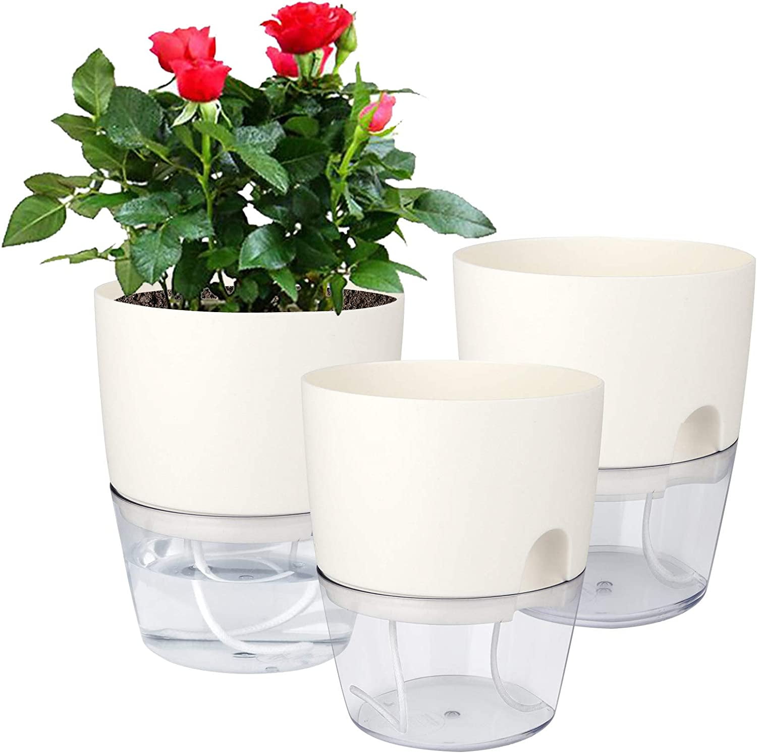 Chainplus 3 Pack Self Watering Planter Pots for Indoor Plants, 6 Inch ...
