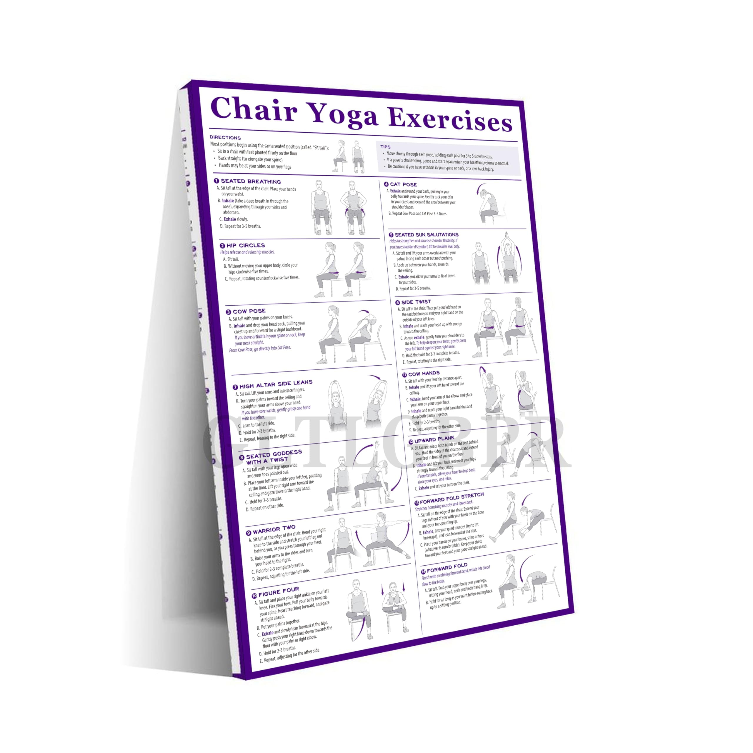 Chair Exercise Chart Poster, Yoga Guide for Seniors Wall Art, Canvas ...