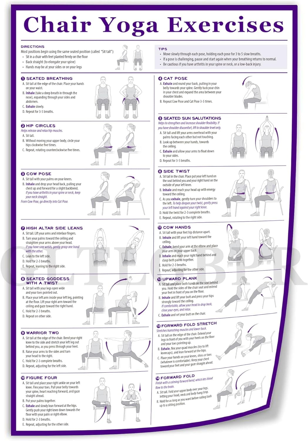 Chair Yoga Guide Poster Chair Exercise Chart for Seniors Wall Art ...