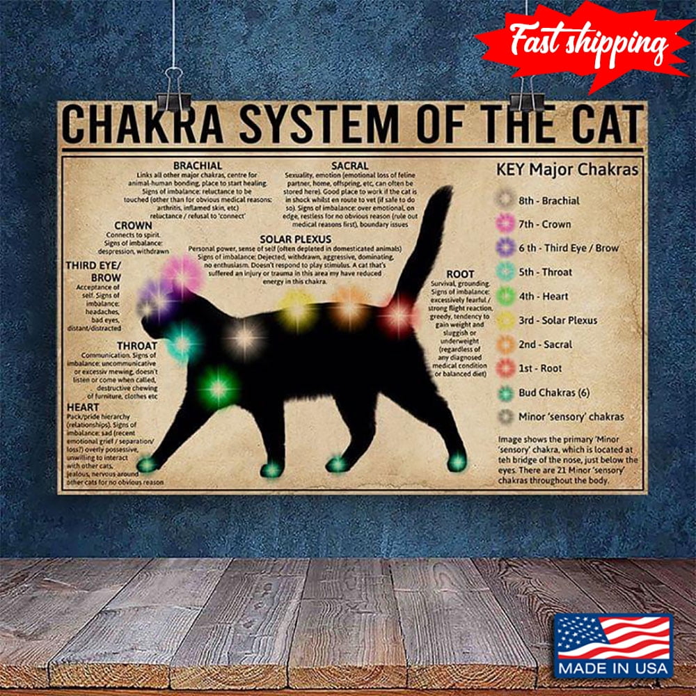 Chakra System Of The Cat 16 x 24 Inch Poster - Walmart.com