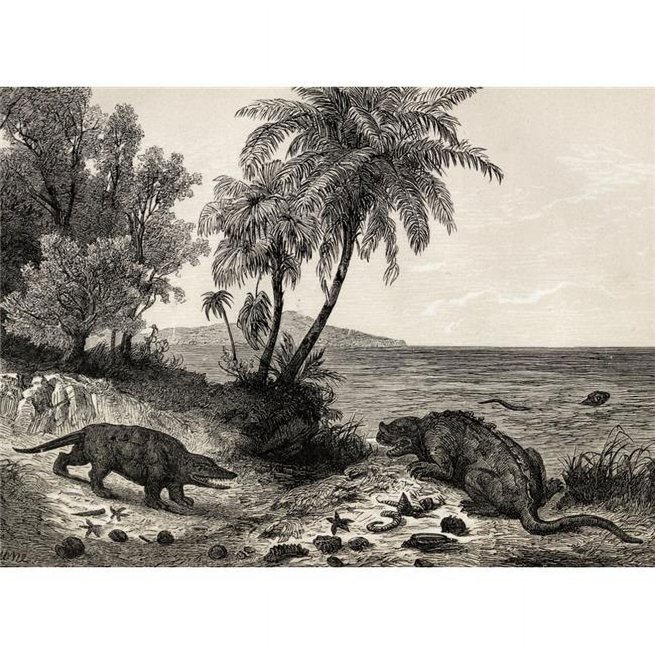 Chalk-Age Landscape. Print From The 1870s Poster Print - 17 x 12 ...