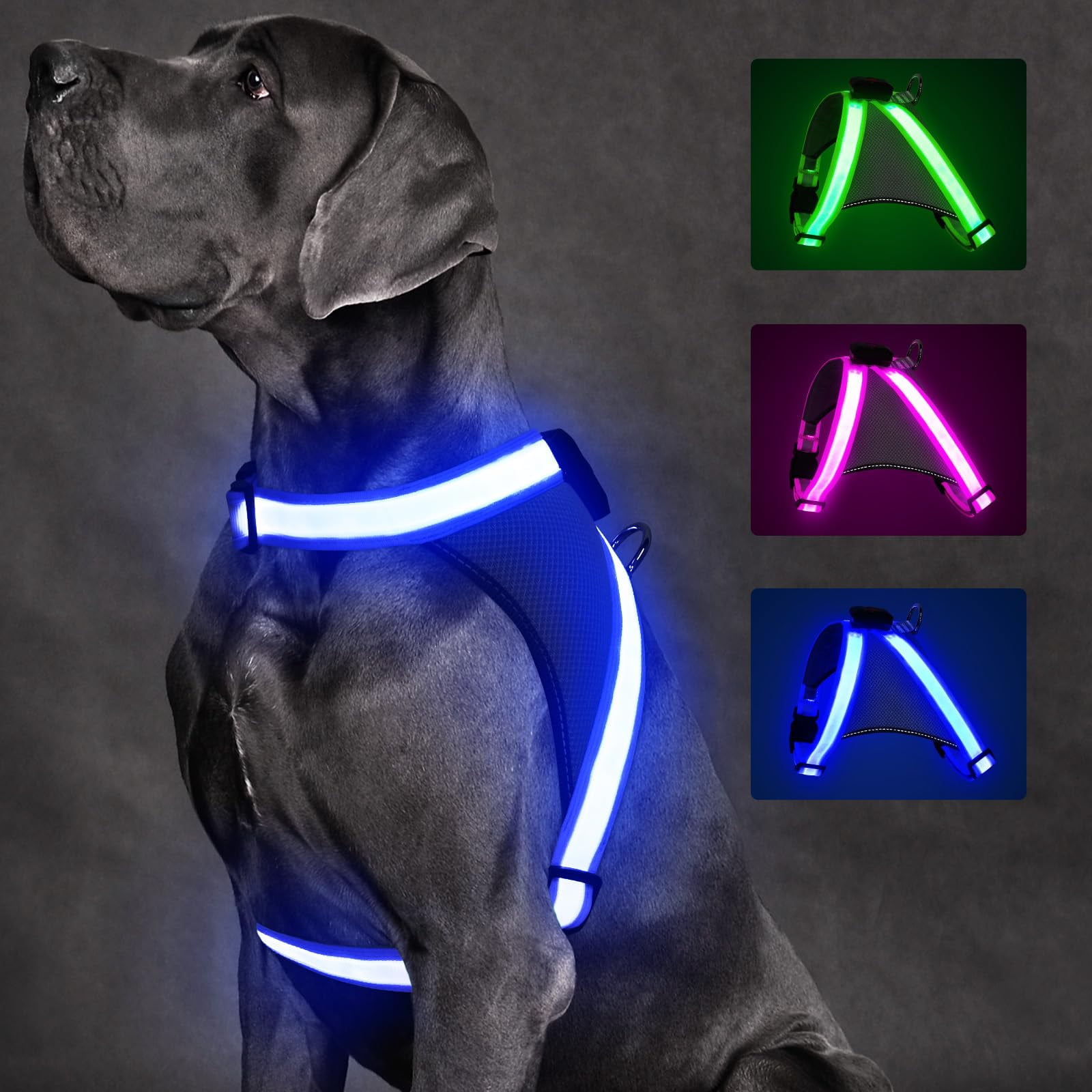 ChalkLit Light Up FEV6 Harness, No Pull Led Harness for Night Walking ...