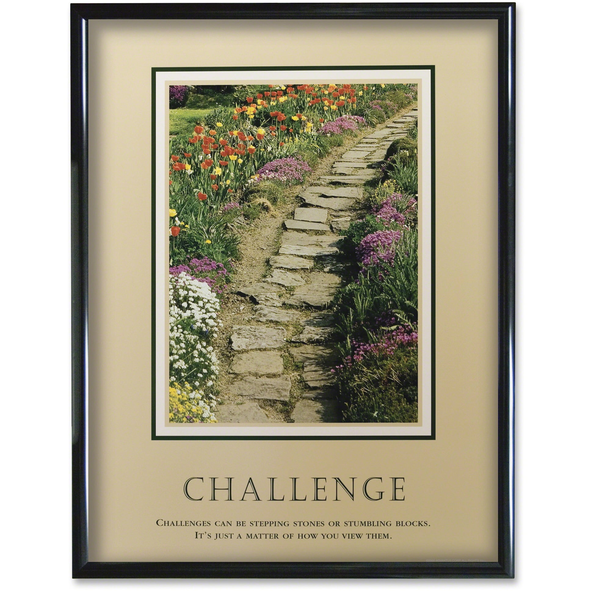 Challenge (Path), Framed, 24" x 30" - Walmart.com